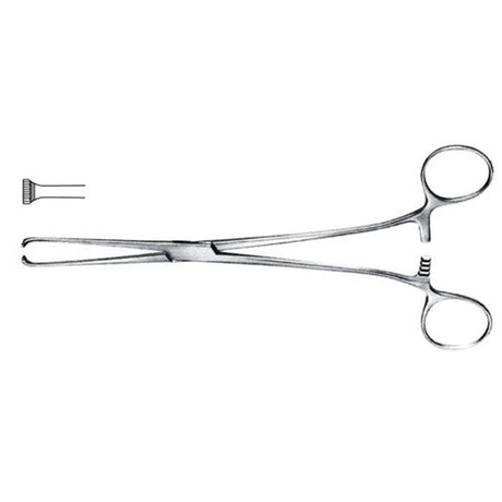 Allis Tissue Forceps ^ – Surgical Systems